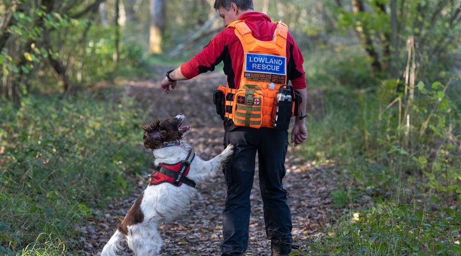 Customer Success Stories - Zenarmor