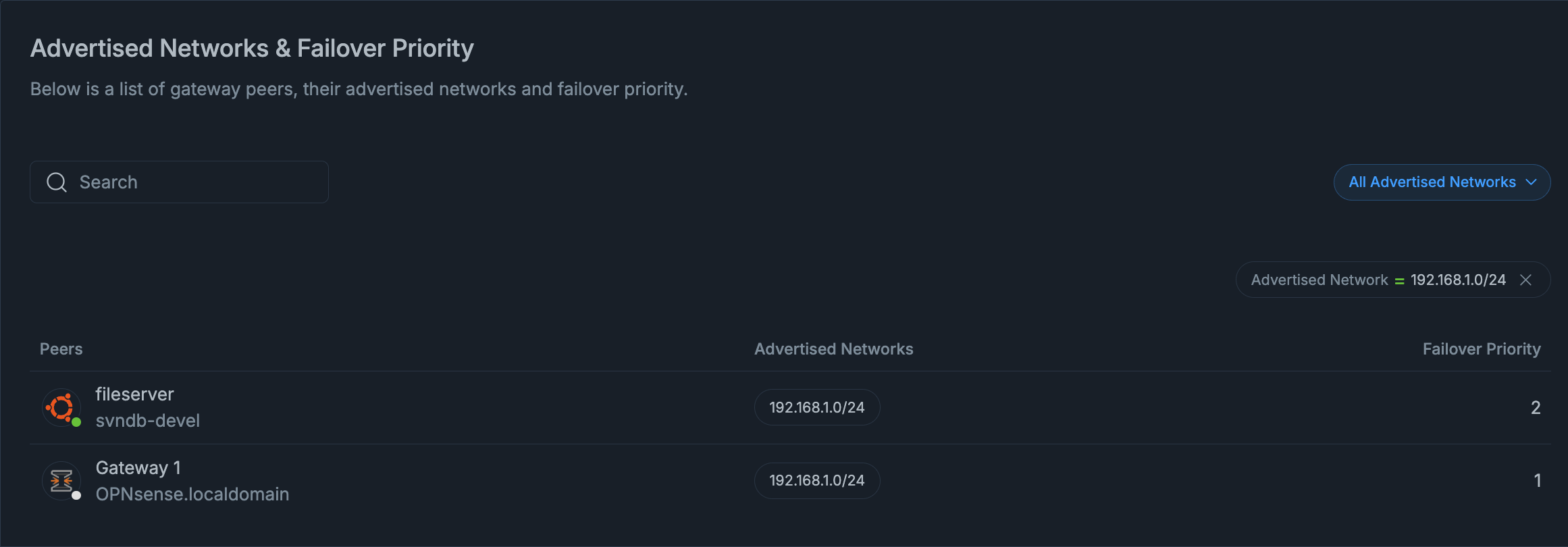 Automatic Failover for Advertised Networks on Zenconsole - zenarmor.com